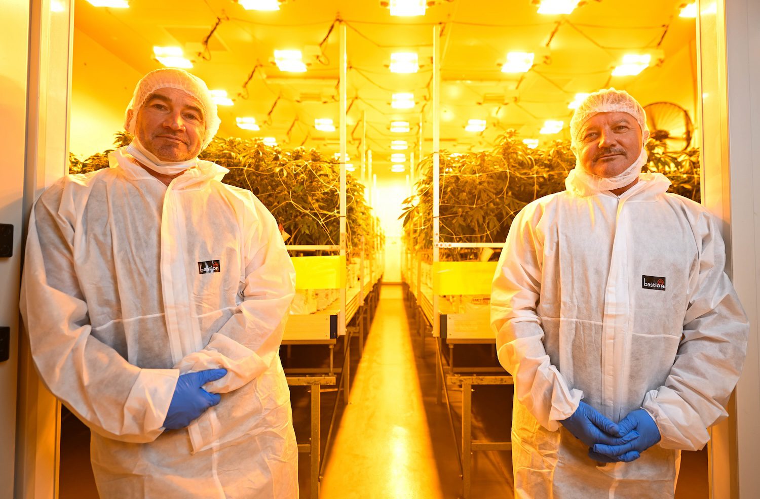 Premium Australian Medicinal Cannabis | ANTG