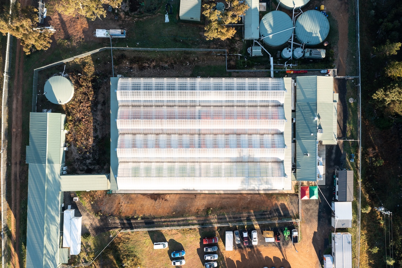 Premium Australian Medicinal Cannabis | ANTG